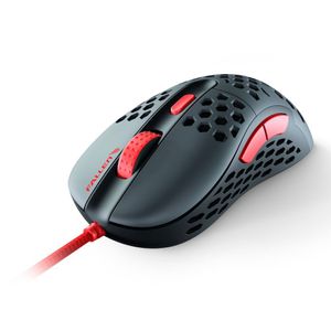 Fallen Store | A sua loja de esports